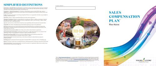 Sales Compensation Plan Highlights Flyer 2025 | Digital Library | Young ...