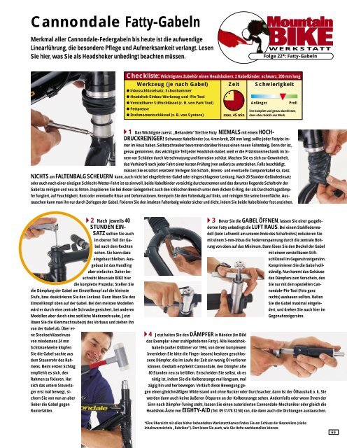 Cannondale Fatty-Gabeln