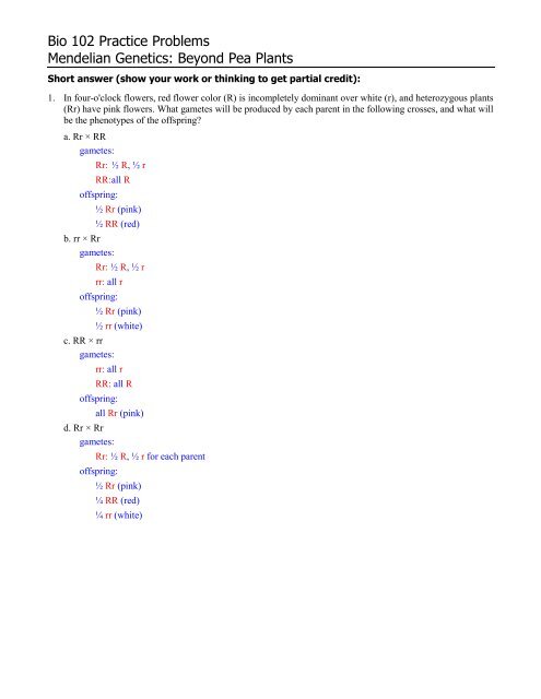 Beyond Mendel Worksheet Answers