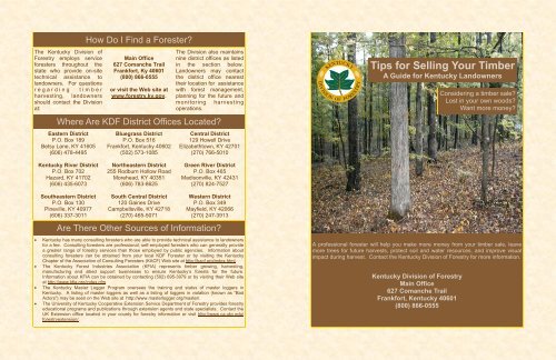 Tips for Selling Your Timber - Kentucky Division of Forestry