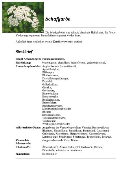 Schafgarbe - Gemeinsam mehr Mut eV