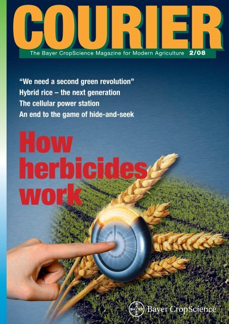 “We need a second green revolution” Hybrid rice - Bayer ...