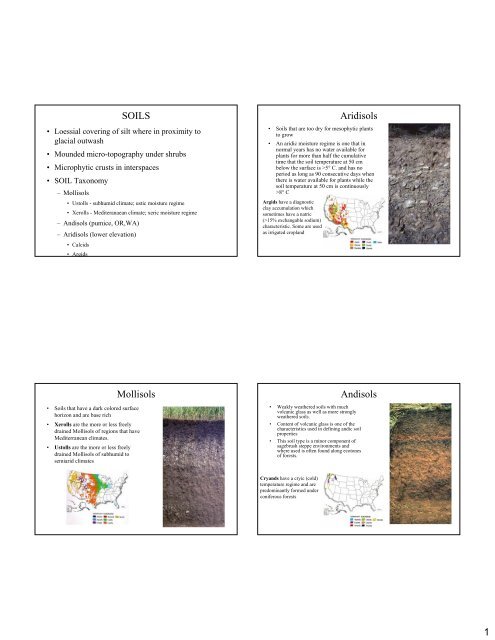 1 SOILS Aridisols Mollisols Andisols