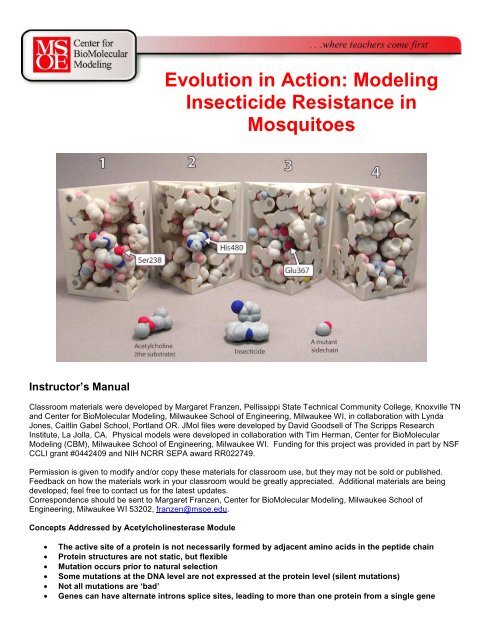 Evolution in Action: Modeling Insecticide Resistance in Mosquitoes