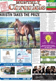 The Daily Chronicle - Activity Connection