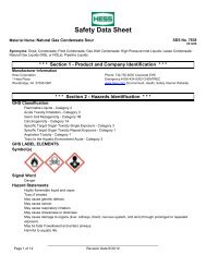 Safety Data Sheet - Hess