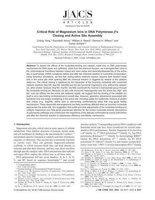 Critical Role of Magnesium Ions in DNA Polymerase - www.biomath ...