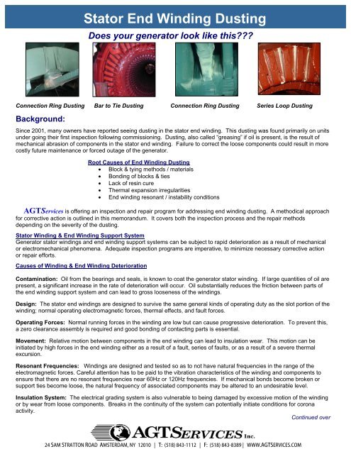 Stator End Winding Dusting