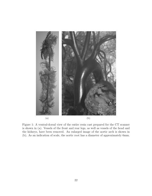 (a) (b) Figure 1: A ventr