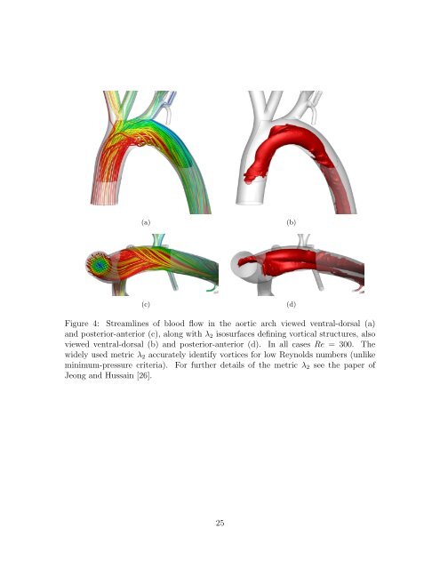 (a) (b) Figure 3: Images