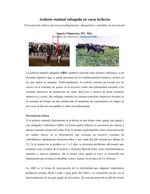 Acidosis ruminal subaguda en vacas lecheras - Nutralmix