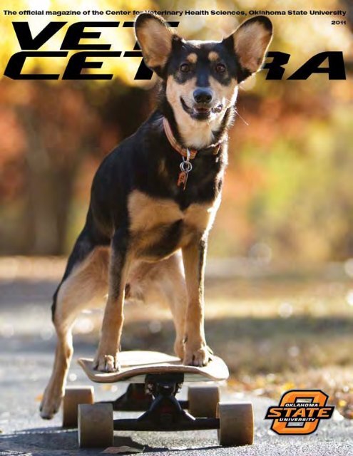 Vet Cetera Magazine 2011 - Oklahoma State University College of ...