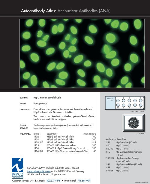 IMMCO atlas v6 REVISED - IMMCO Diagnostics