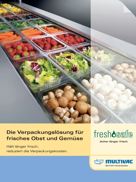 Freshsafe - Multivac