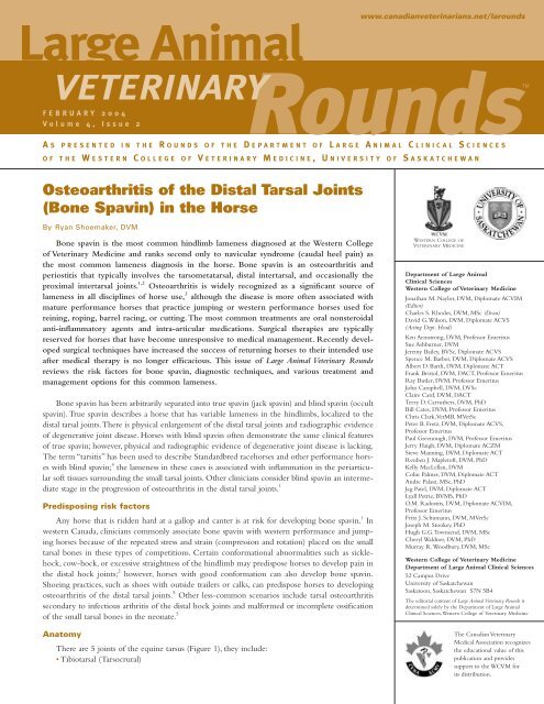 117-029 English - Large Animal Veterinary Rounds