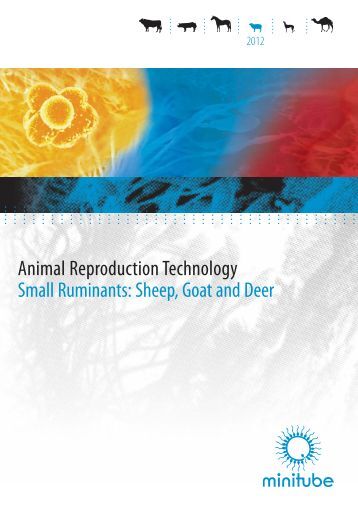 Whose baby is it? The impact of reproductive technologies on kinship