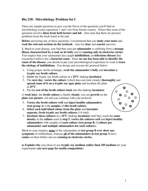 Bio 218: Microbiology Problem Set I