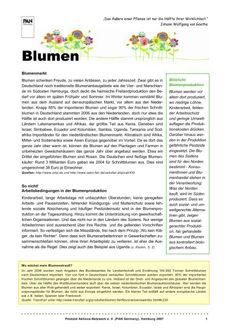 Informationsblatt Blumen - Flower Label FLP