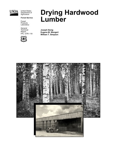 Slender Man Forest Map For6 Pages