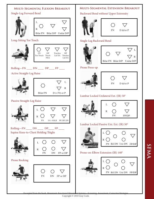 Multi-Segmental Flexion B