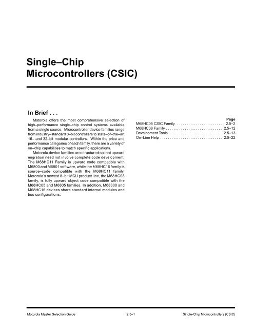 Single–Chip Microcontrollers (CSIC) - Web Server Noel