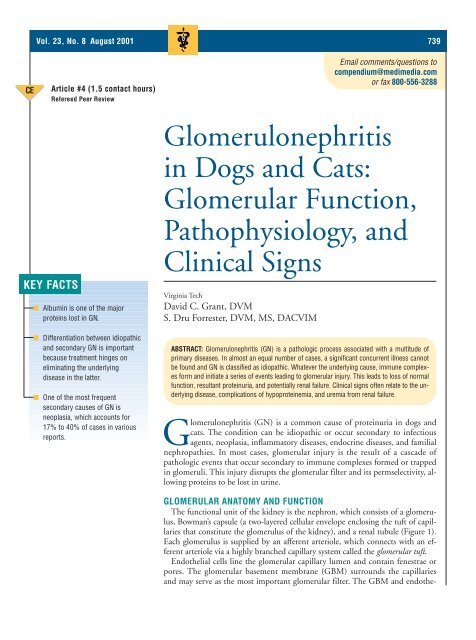 Glomerulonephritis in Dogs and Cats: Glomerular ... - VetLearn.com