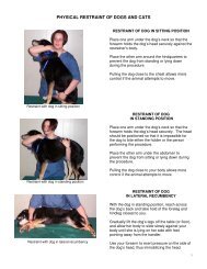 Download Low Stress Handling Restraint and Behavior Modification of ...