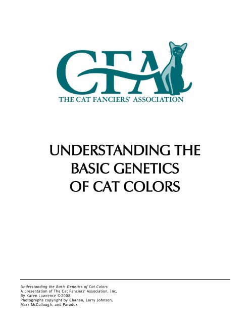 understanding the basic genetics of cat colors - CFA: For Kids ...