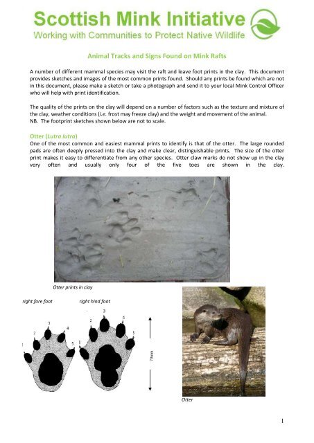 Footprints Factsheet - your Control Panel