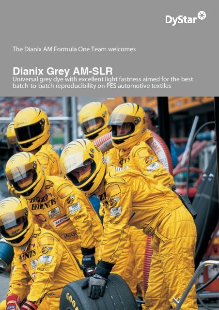 Dianix Grey AM-SLR - DyStar