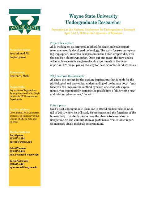 Undergraduate profiles in template v2 - Division of Research ...