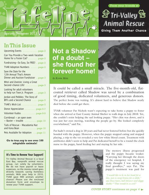 Julie Bindas Wildlife