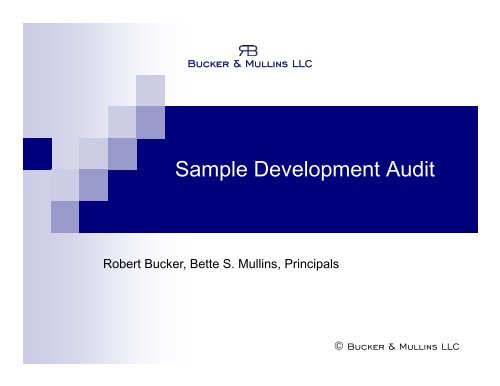 Sample Development Audit