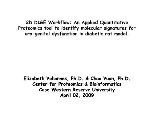 2D DIGE Workflow - Center for Proteomics and Bioinformatics ...