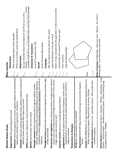 MSE And MiniMental.odt - NeoOffice Writer - Niels Olson