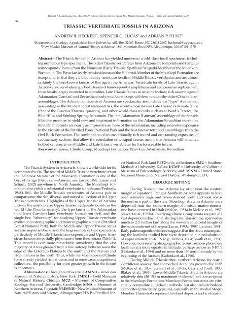 TRIASSIC VERTEBRATE FOSSILS IN ARIZONA