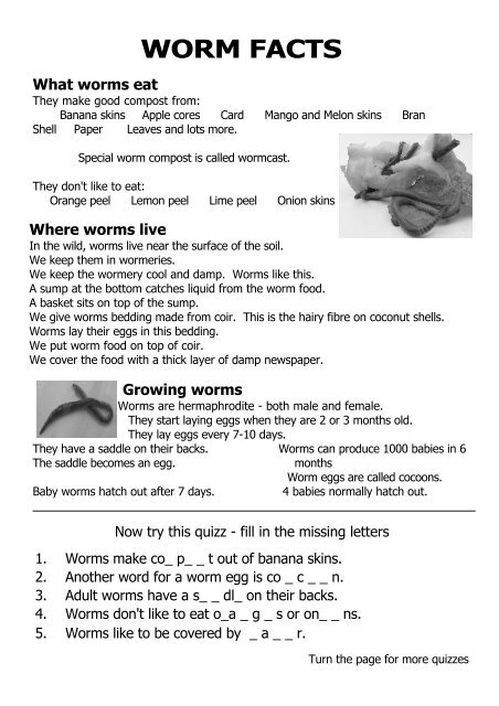 WORM FACTS What worms eat - ASK Organic