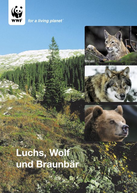Luchs, Wolf und Braunbär - WWF Schweiz