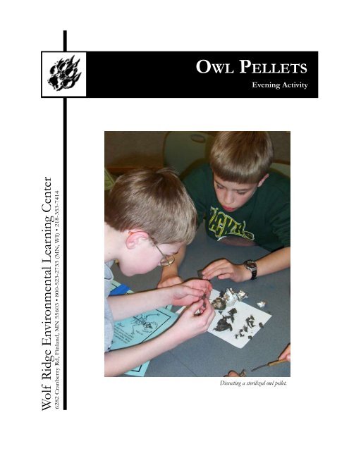 OWL PELLETS - Wolf Ridge Environmental Learning Center