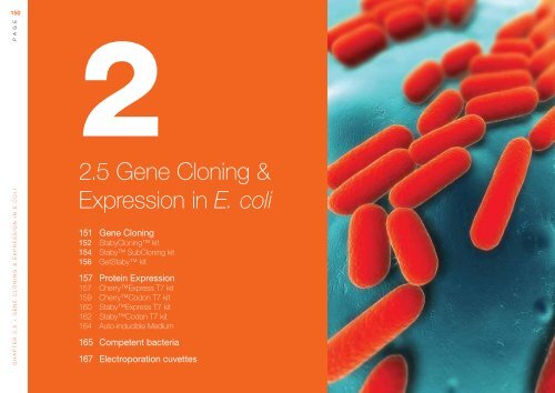 2.5 Gene Cloning & Expression in E. coli - Eurogentec