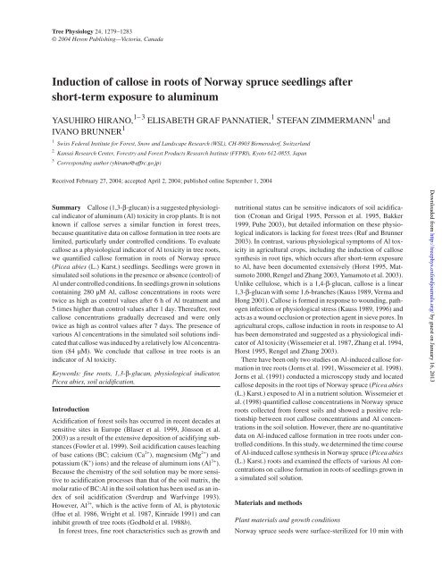 Induction of callose in roots of Norway spruce ... - Tree Physiology