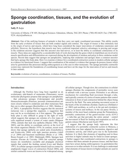 Sponge coordination, tissues, and the evolution of ... - Porifera Brasil