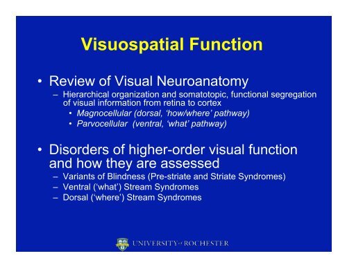 Visuospatial Function visuospatial-function