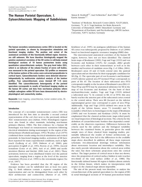The Human Parietal Operculum. I ... - Cerebral Cortex