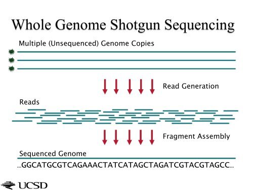 Genome sequencing