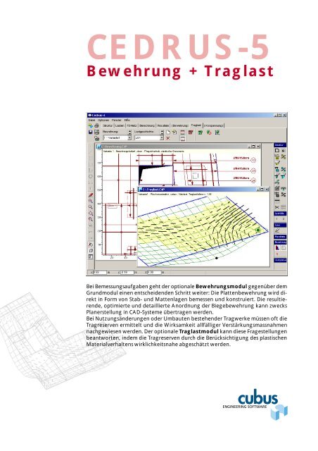 CEDRUS-5 - FIDES DV-Partner