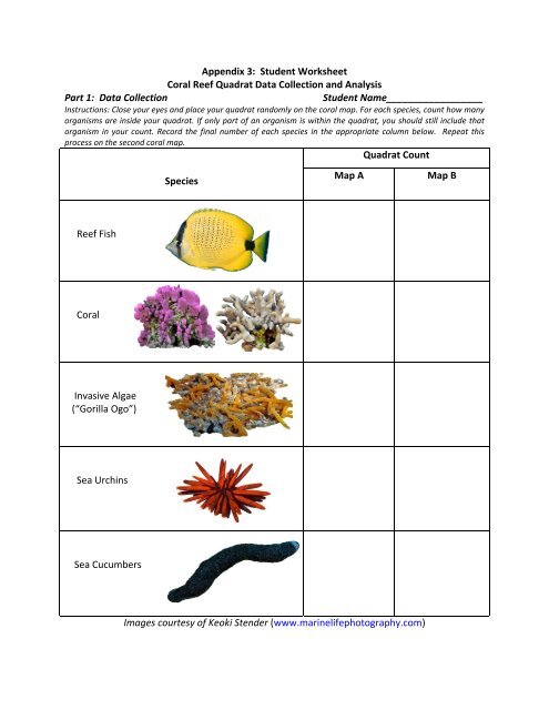 Student Worksheet Coral Reef Quadrat Data ... - Green Teacher.
