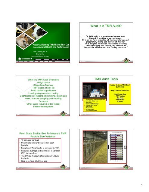 1 What Is A TMR Audit? TMR Audit Tools