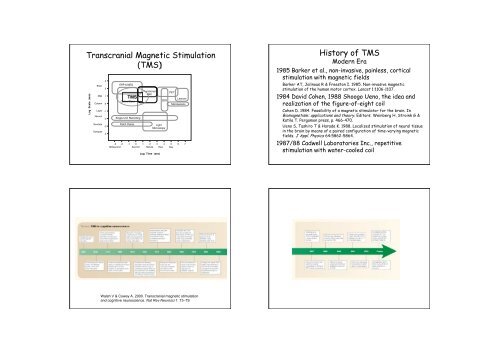 Transcranial Magnetic Stimulation (TMS)‏ History of TMS