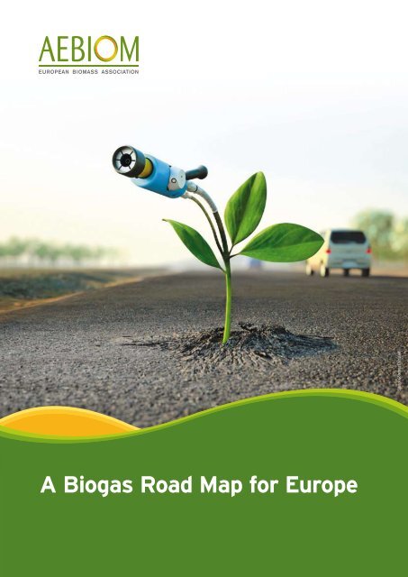 A Biogas Road Map for Europe - Aebiom